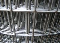 China 1/4x1/4 Inch 1/2x1/2 Inch 1x1 Inch 2x2 Inch Welded Wire Mesh for sale