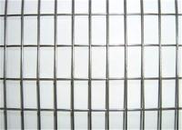China 1/4x1/4 Inch 1/2x1/2 Inch 1x1 Inch 2x2 Inch Welded Wire Mesh for sale