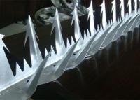 China Powder Coating Big Anti Climb 2mm Wall Security Wall Spikes for sale