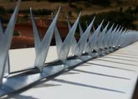 China Barb L64mm Barb Thickness 0.8mm Fence Wall Spikes for sale