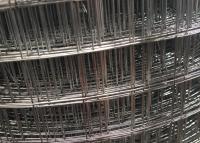 China 10x10 10 Gauge Welded Wire Mesh Hot Dipped Galvanized For Protection for sale