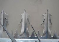 China 1m Length Large Sized SGS Hot Dipped Galvanized Anti Climb Wall Spike For Security for sale