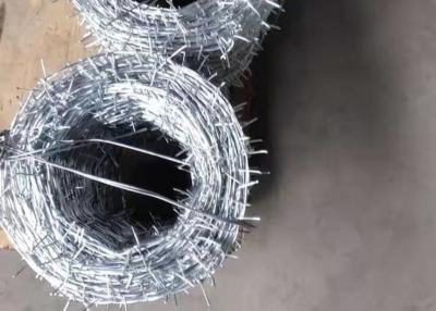 China Galvanized Barbed Wire 2-Strand 4-Point Security Fencing with 3-6 Inch Barb Spacing for sale