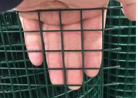 China 3/4X3/4 SGS Green Colored Pvc Coated Welded Wire Mesh Rolls For Poultry for sale