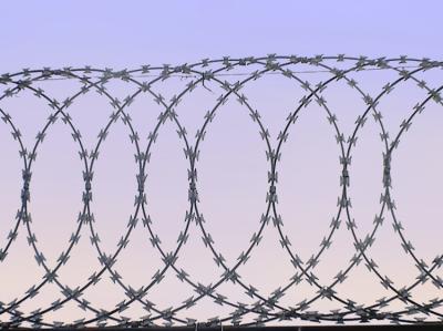 China Flat Profile Razor 0.5MM Concertina Barbed Wire BTO-22 for sale