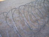 China Galvanized Barbed Bto10 Concertina Razor Wire For Prisons for sale