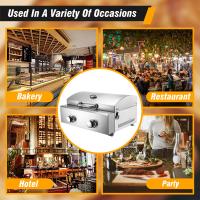 China LPG Stainless Steel Pizza Oven Gas BBQ Oven Commercial Pizza Making Machine for sale