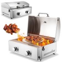 China 600*460*300mm Commercial Gas Pizza Oven with Multi Functions and Portable Design for sale