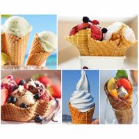 China Electric Stainless Steel Waffle Corn Maker for Bakery Packing Size 550*410*290mm for sale