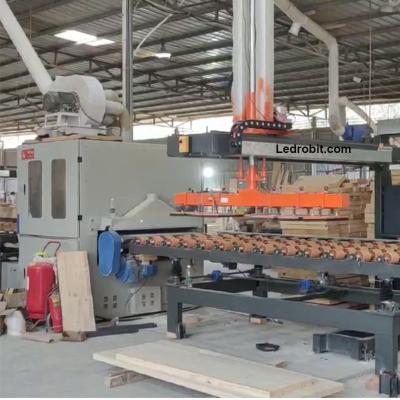 China 800kg Load Capacity Automatic Crane Loading Platform With LCD Touch Screen for sale