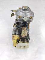 China Excavator parts Fuel injection pump 3021961 for Engine K19 for sale