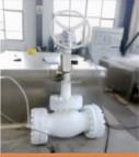 China Cryogenic globe valve for sale