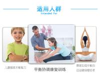 China Workout Physiotherapy Rehabilitation Equipment Plastic Wobble Balance Board For Core Training for sale