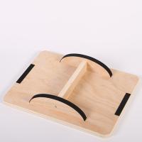 China Ankle Physiotherapy Rehabilitation Equipment Yoga Fitness Balance Board for sale