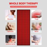 China 660nm and Near Infrared 850nm LED Light Combo , Pain Relief of Muscles and Joints 630 Lamp Beads Red Light Therapy Device for sale