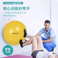 China Inflatable Exercise Gym Yoga Ball Anti Burst Custom Printed PVC For Training for sale