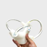 China Tinnitus Vestibular Cochlea Inner Ear Cranial Nerve Rehabilitation Anatomical Function Didactic Demonstration Semicircular Canal for sale