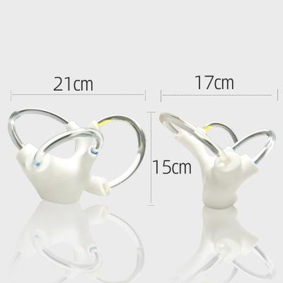 China Balance Cochlea Inner Ear Cranial Nerve Rehabilitation Anatomical Function Didactic Demonstration Semicircular Canal for sale