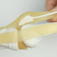China Ligaments & Stand Life Size Display Base Best Medical Tool Clinic Demonstration Kids Learning Education Knee Joint Model for sale