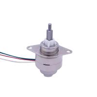China 25mm Linear Stepper Motor 7.5 Degree 13mm Stroke for sale