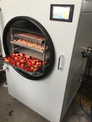 China PLC control 15kg Ice SS304 7kw Vacuum Freeze Dryer for sale