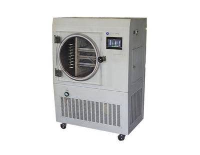 China Lyophilizer 2.5kw 380V 10Pa Vacuum Food Freeze Dryer for sale