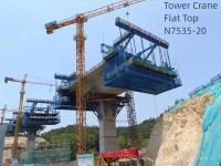 China 20T Load Crane Building Skyscraper 75m Jib Building Construction Tower Crane for sale