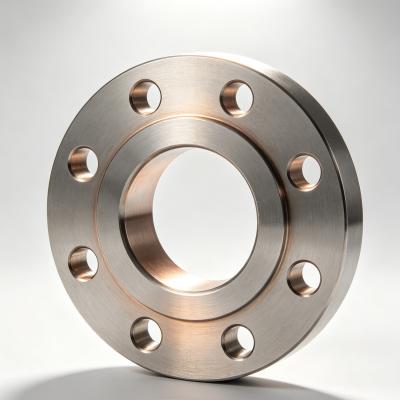 China Copper Nickel 70/30 SWRF Flange Class 150 ASME B16.5 Forged Marine Anti-Biofouling for sale