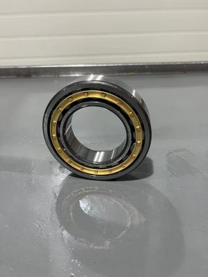 China NU1006M Gcr15 Steel Screw Compressor Bearings Double Row 30x55x13 for sale