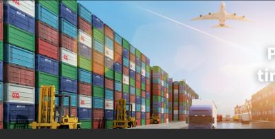 China Timeliness Guarantee FBA International Sea Freight Global Sea Freight Fast Circulation for sale