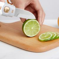 China Stainless Steel Multifunctional Sharp Pocket Kitchen Knife 2 In 1 Double Head for sale
