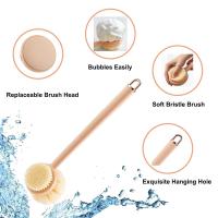 China Long Handle Interchangeable Heads Multifunctional Cleaning Body Back Bath Brush for sale