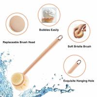 China Long Handle Interchangeable Heads Multifunctional Cleaning Body Back Bath Brush for sale