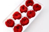 China 4-5cm  Austin Flower Rose Head Preserved Long Lasting Eternal Rose For Wedding Decoration for sale