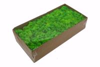 China Preserved Moss wall decoration interior decoration beautiful stabilized preserved reindeer moss for sale