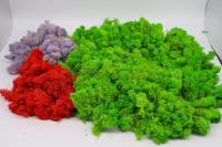 China Preserved Moss wall decoration interior decoration beautiful stabilized preserved reindeer moss for sale