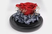 China romantic eternal fresh rose preserved box gift artificial eternal rose flower in glass weddings decoration flower preser for sale