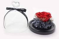 China romantic eternal fresh rose preserved box gift artificial eternal rose flower in glass weddings decoration flower preser for sale