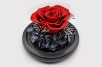 China romantic eternal fresh rose preserved box gift artificial eternal rose flower in glass weddings decoration flower preser for sale