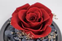China romantic eternal fresh rose preserved box gift artificial eternal rose flower in glass weddings decoration flower preser for sale