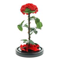 China Fashion Dried Long Stem Rose Flower In Glass With Beautiful Appearance for sale