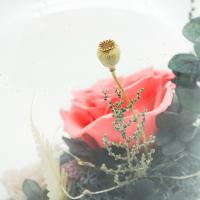 China Wedding Decoration Transparent Glass Dome Flower With No Humidity / No Direct Sunlight for sale