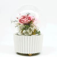 China 3-5 Years Lasting Preserved Rose Glass Dome Beautiful Home Decor Day Gift for sale