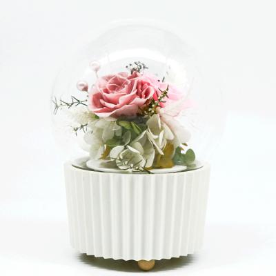 China 3-5 Years Lasting Preserved Rose Glass Dome Beautiful Home Decor Day Gift for sale