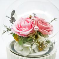 China 3-5 Years Lasting Preserved Rose Glass Dome Beautiful Home Decor Day Gift for sale