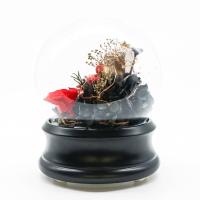 China Beautiful Preserved Rose Glass Dome Gift For Valentine's Day / Anniversary for sale