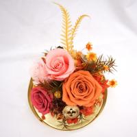 China Decorative Preserved Rose Glass Dome Create A Splendid And Romantic Atmosphere for sale