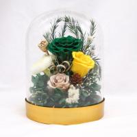China 100% Real Rose Flower In Glass Dome With No Maintenance Required for sale