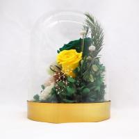 China 100% Real Rose Flower In Glass Dome With No Maintenance Required for sale