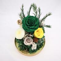 China 100% Real Rose Flower In Glass Dome With No Maintenance Required for sale